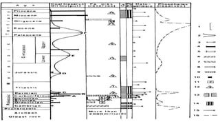 Geological criteria for ore prospecting.pptx