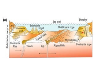 OCEAN GEOMORPHOLOGY(Erosional and depositional landforms).pptx