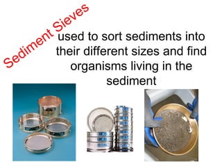 Geological oceanographic research equipment powerpoint | PPT