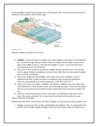 Geological Oceanography