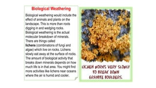 GEOLOGICAL PROCESSES/FORCES THAT SHAPE EARTH Ppt.pptx