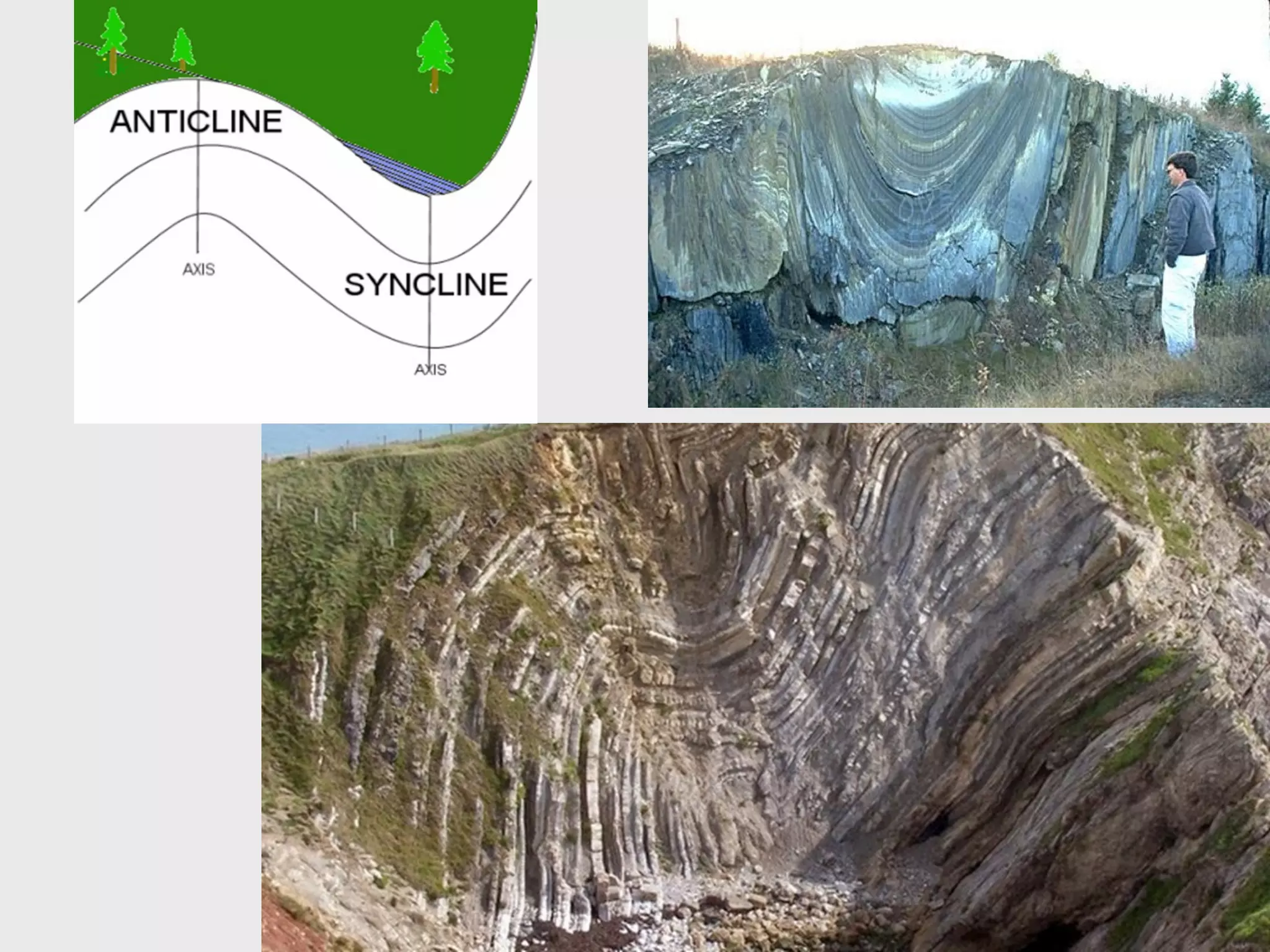 Geological structures folds faults joints types of folds joints | PPT