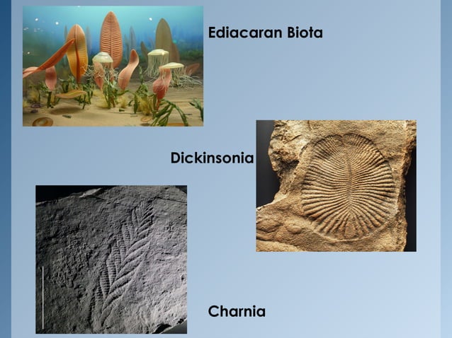 GEOLOGICAL TIMELINE EARTH AND LIFE SCIENCES.pptx