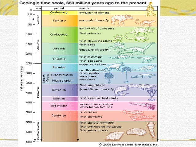 Geological time scale
