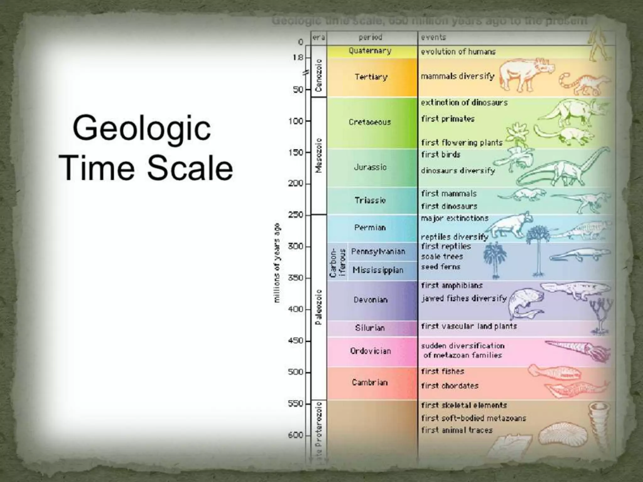 Geological time scale | PPT