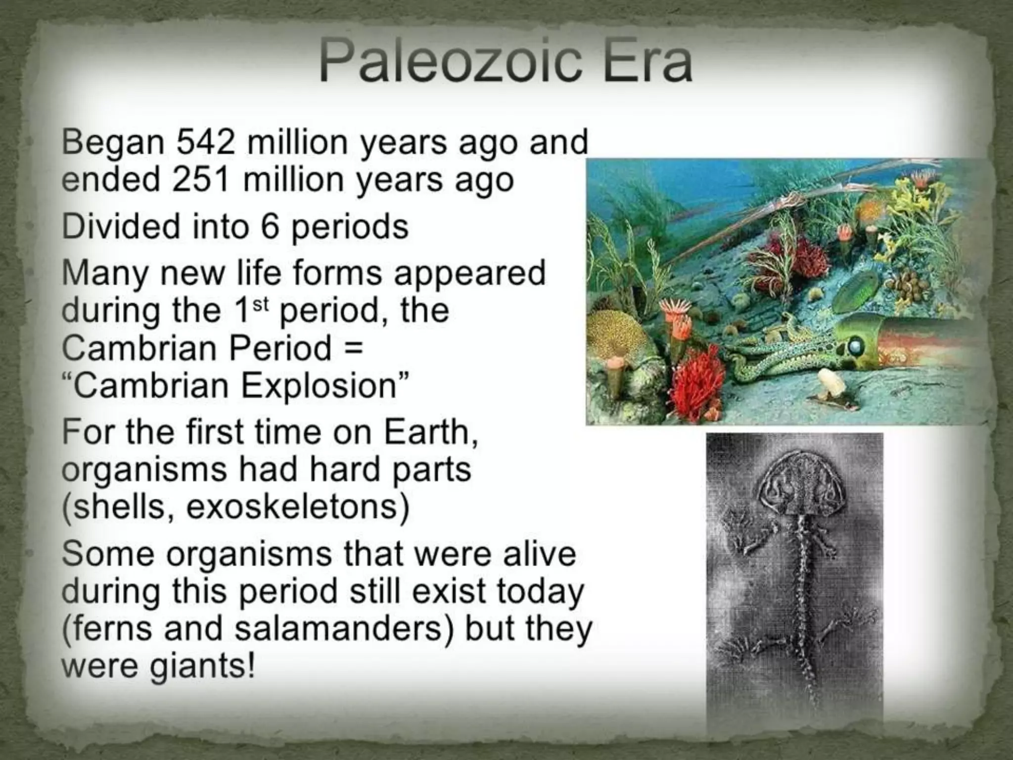Geological time scale | PPT