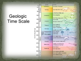 Geological time scale | PPTX