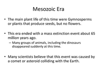 Geological time scale | PPTX