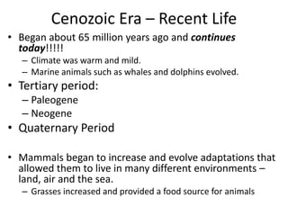 Geological time scale | PPTX