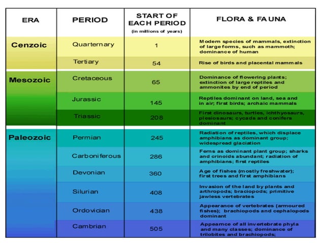 Geological time scale | PPTX