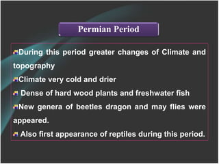 Geological Time Scale | PPTX