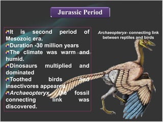 Geological Time Scale | PPTX