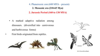 Geological time scale | PDF
