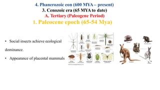 Geological time scale | PPT