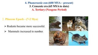 Geological time scale | PPT