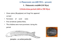 Geological time scale | PDF