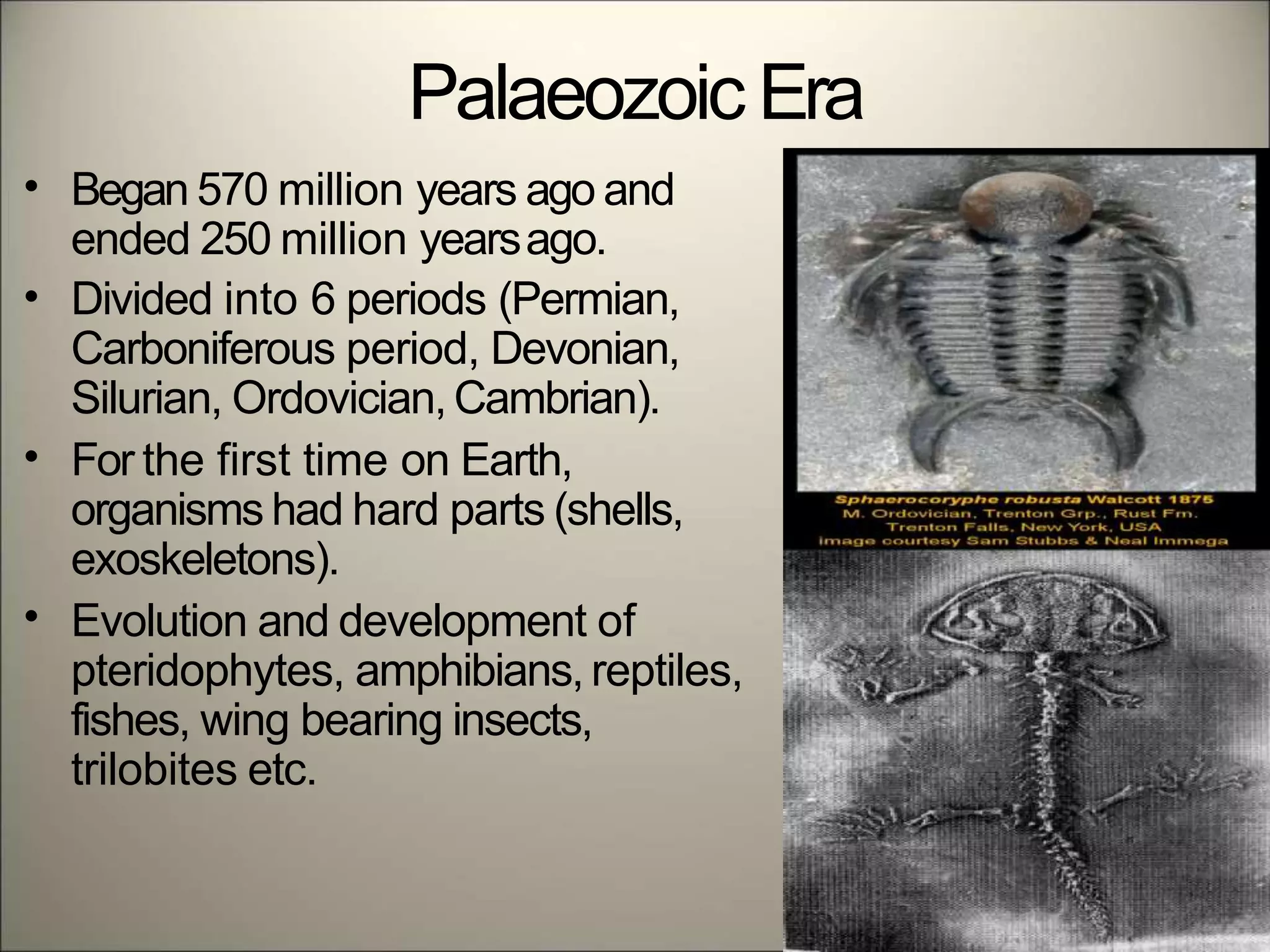 Geological Time Scale.pptx