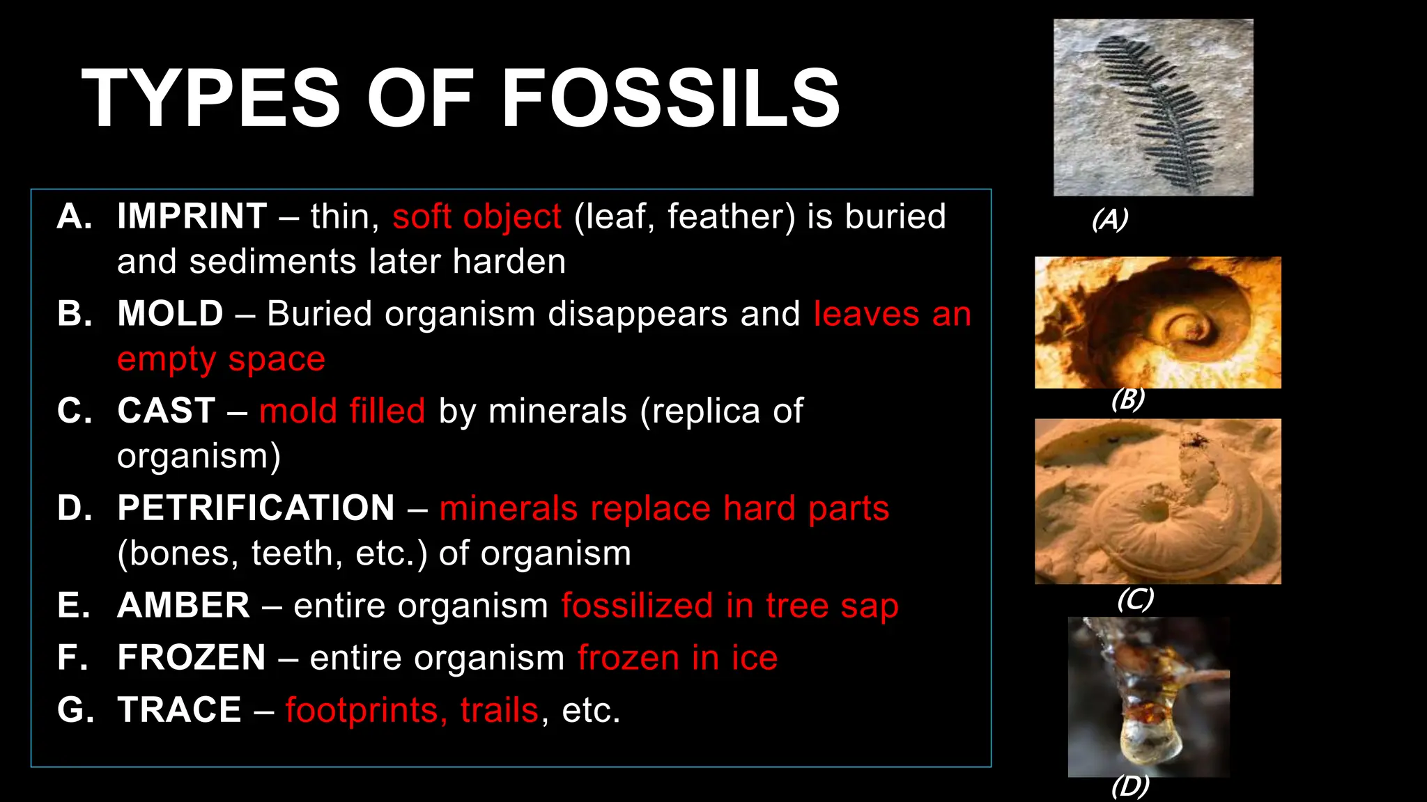 Geological Time Scale.pptx