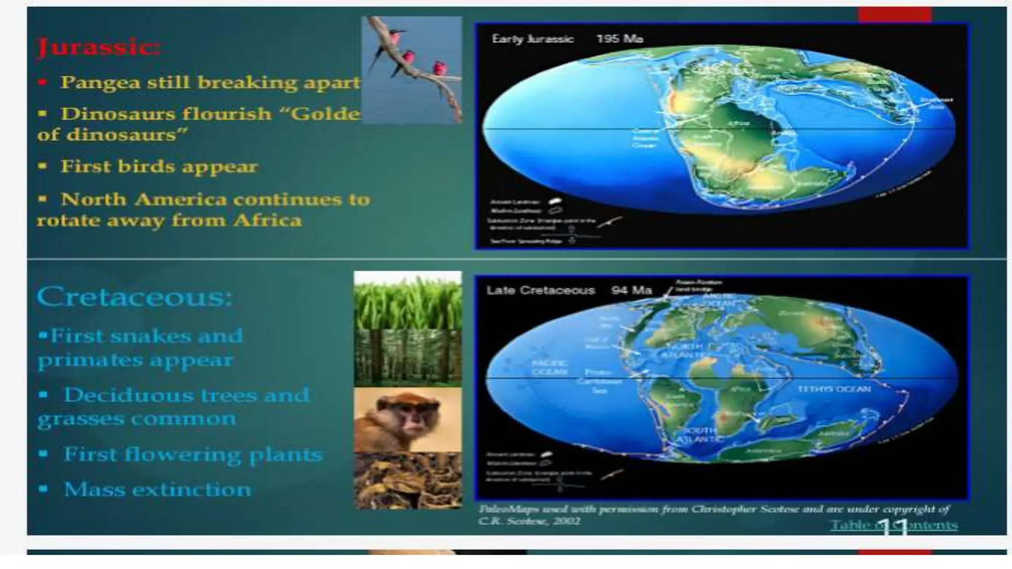 Presentation on Geological Time Scale.pptx