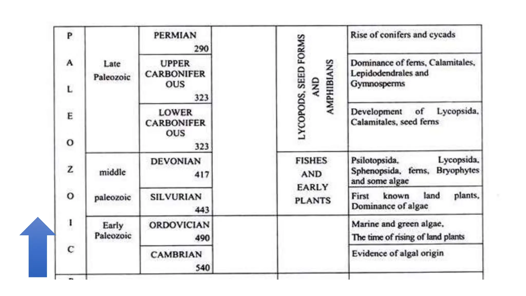 Presentation on Geological Time Scale.pptx
