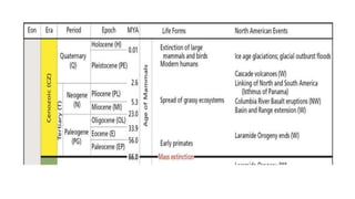 Presentation on Geological Time Scale.pptx