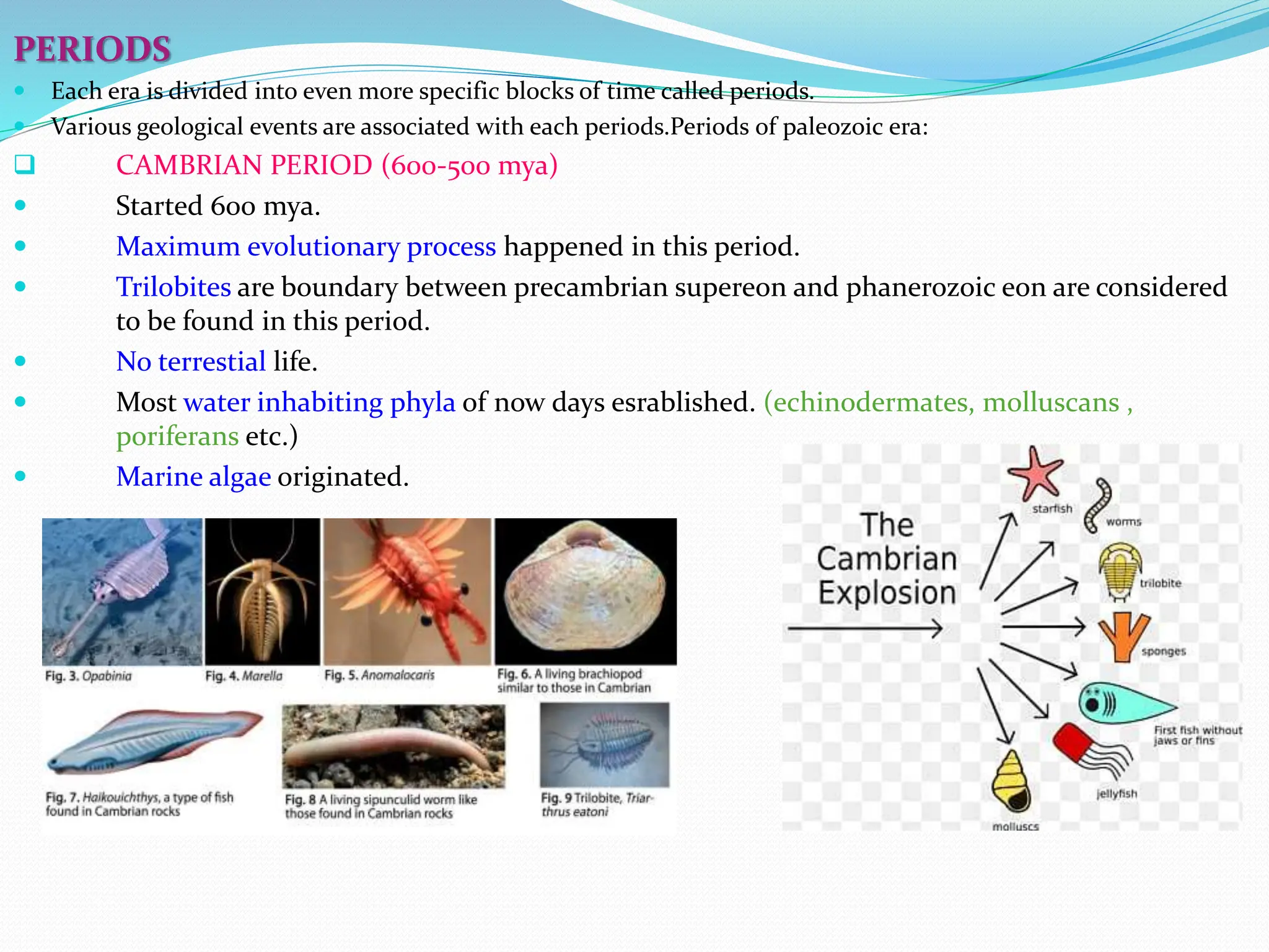 GEOLOGICAL TIME SCALE - Eon period and epoch.pptx