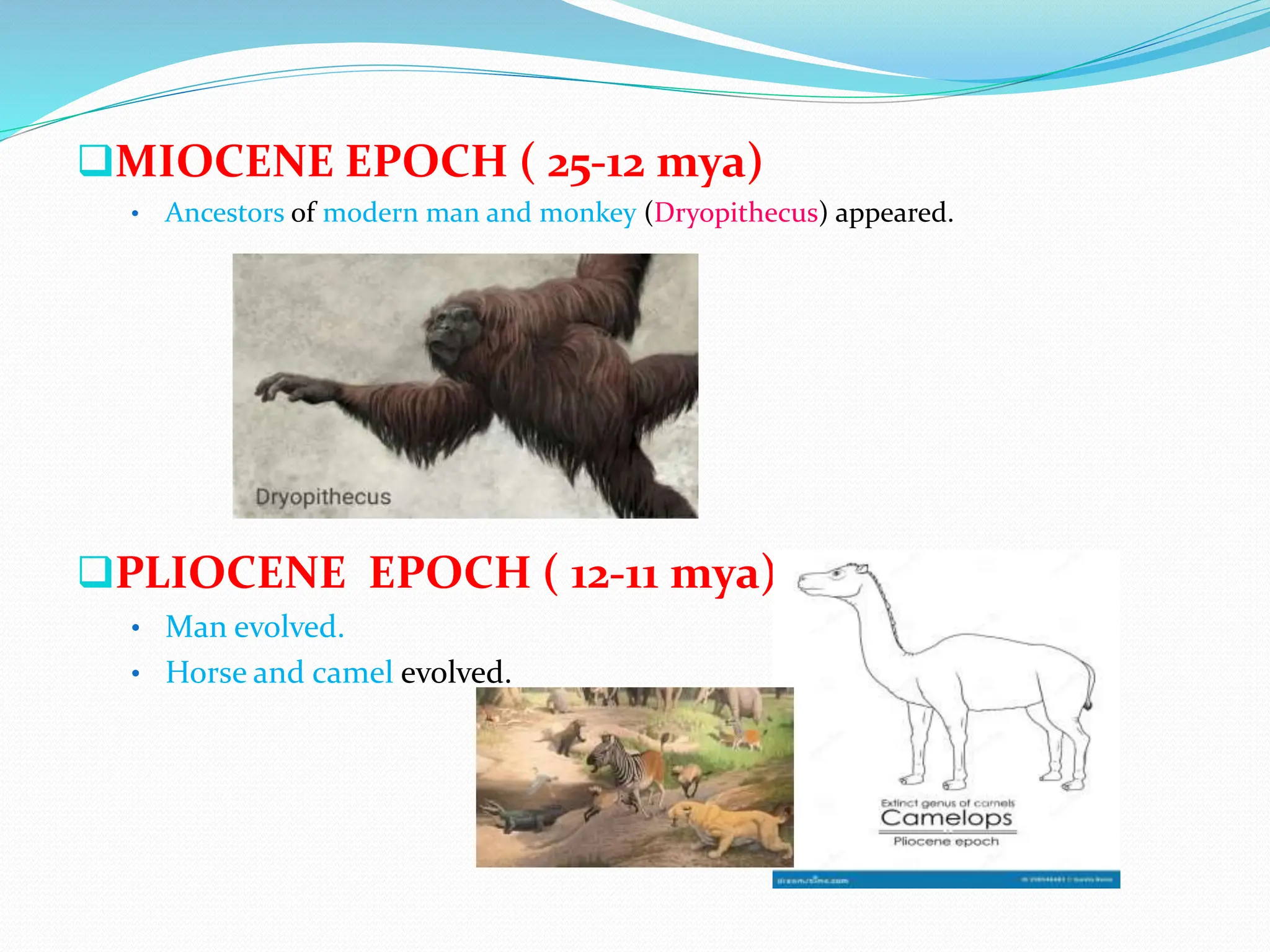 GEOLOGICAL TIME SCALE - Eon period and epoch.pptx