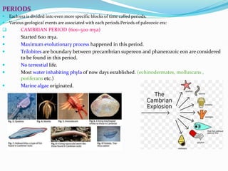 GEOLOGICAL TIME SCALE - Eon period and epoch.pptx