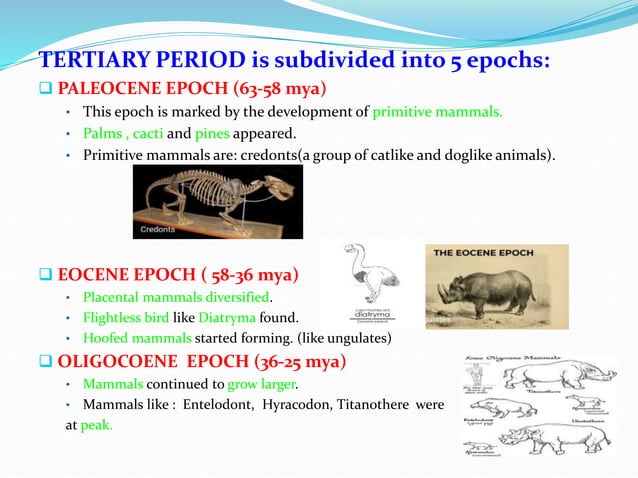GEOLOGICAL TIME SCALE - Eon period and epoch.pptx