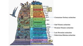 Geological time scale md. yousuf gazi | PDF | Geography | Science