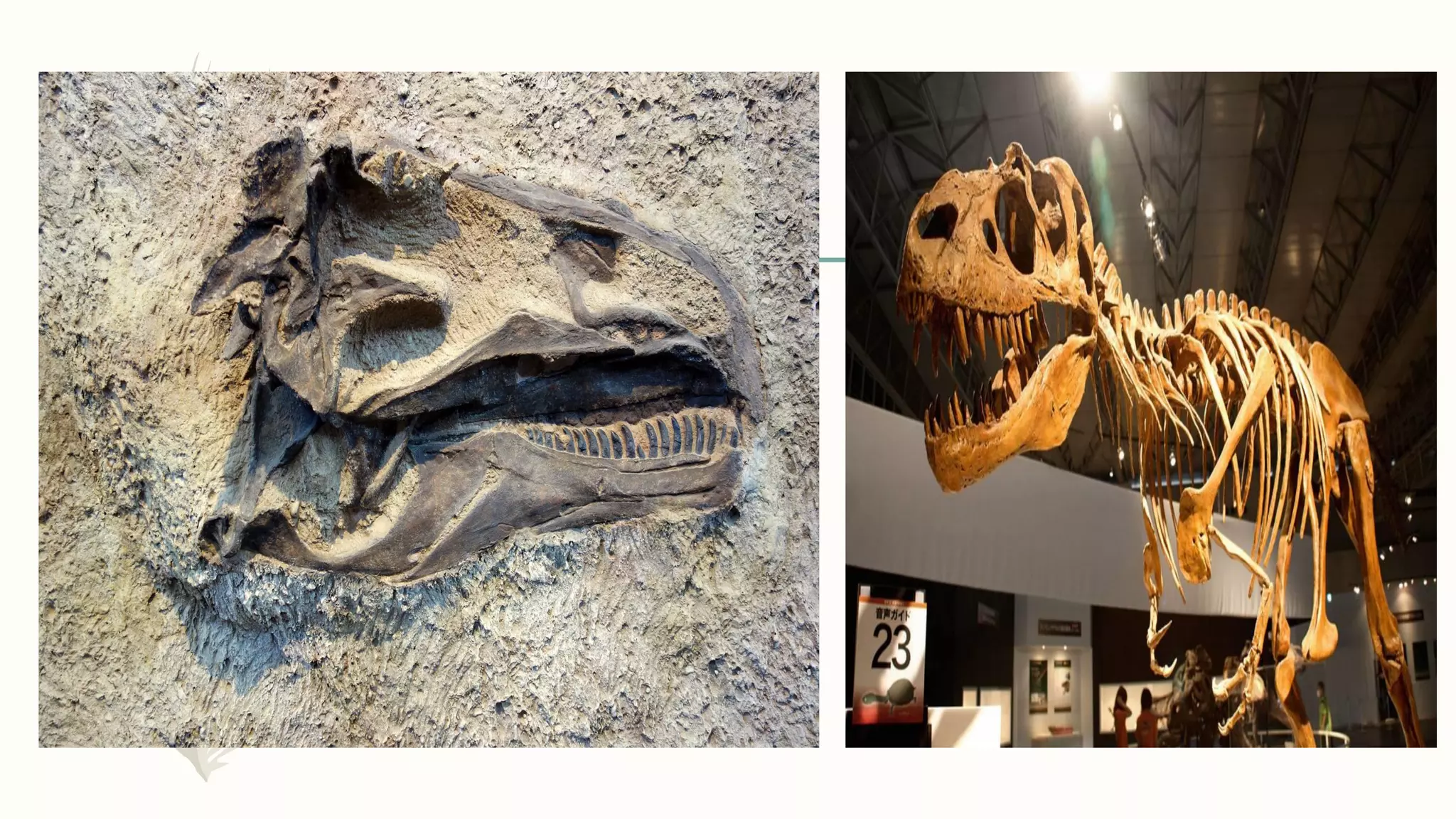 Geological time scale & Dating methods | PPT