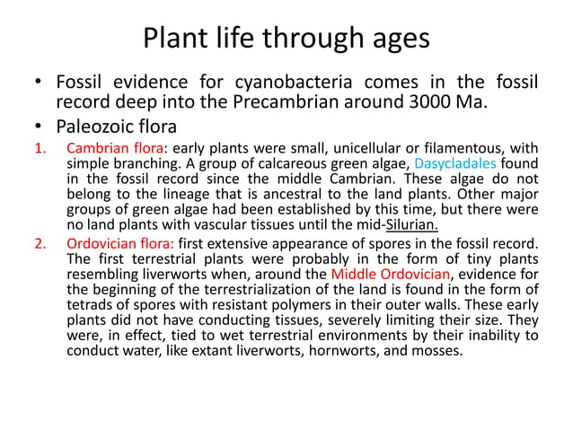 Geological time scale and plant life through ages | PDF | Geology | Science