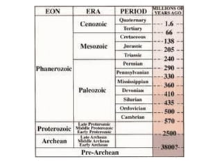 Geological time scale and plant life through ages | PDF