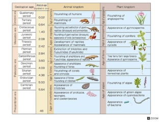 Geological time scale and plant life through ages | PDF