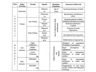 Geological time scale and plant life through ages | PDF