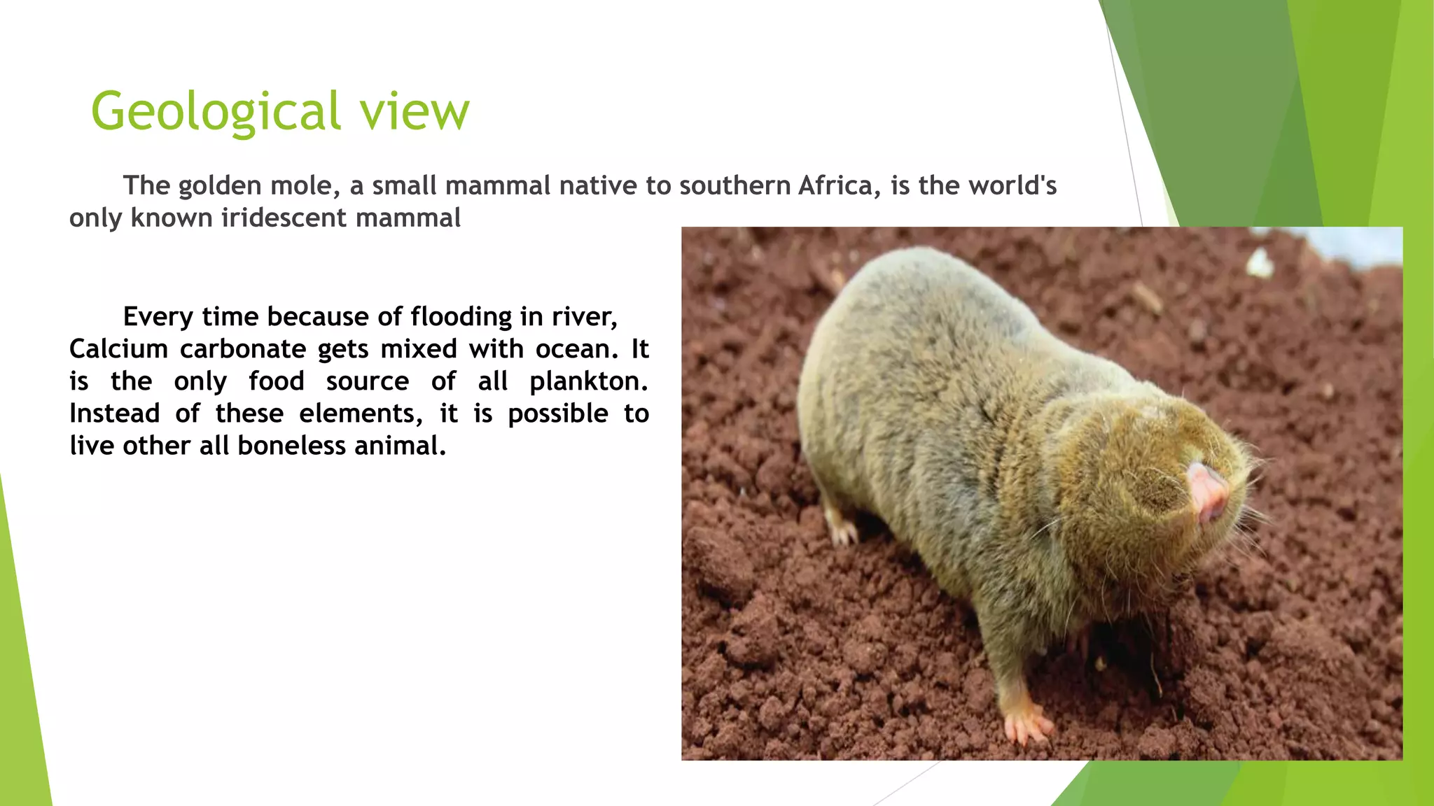 Geological view-interlinking of rivers in india | PPT