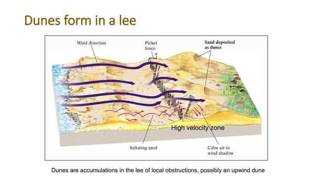 Geological Work of Wind for first Sem Geology.pptx