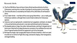 GEOLOGIC HISTORY, EVOLUTIONARY TRENDS OF BIRDS_110959.pptx