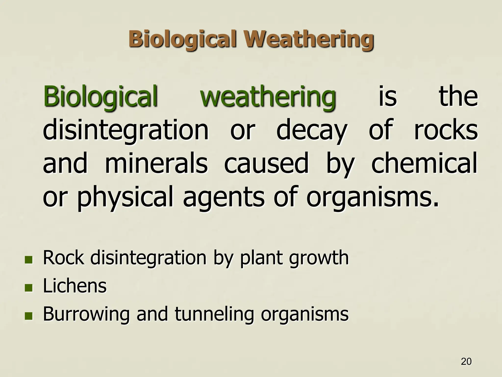Geologic Processes-Exogenic.ppt