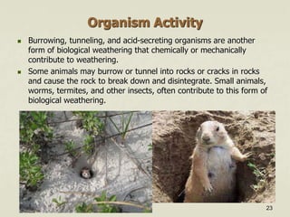 Geologic Processes-Exogenic.ppt | Geology | Science