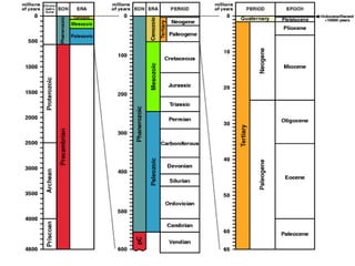 Geologic Relative Age Mr. COnnors | PPT