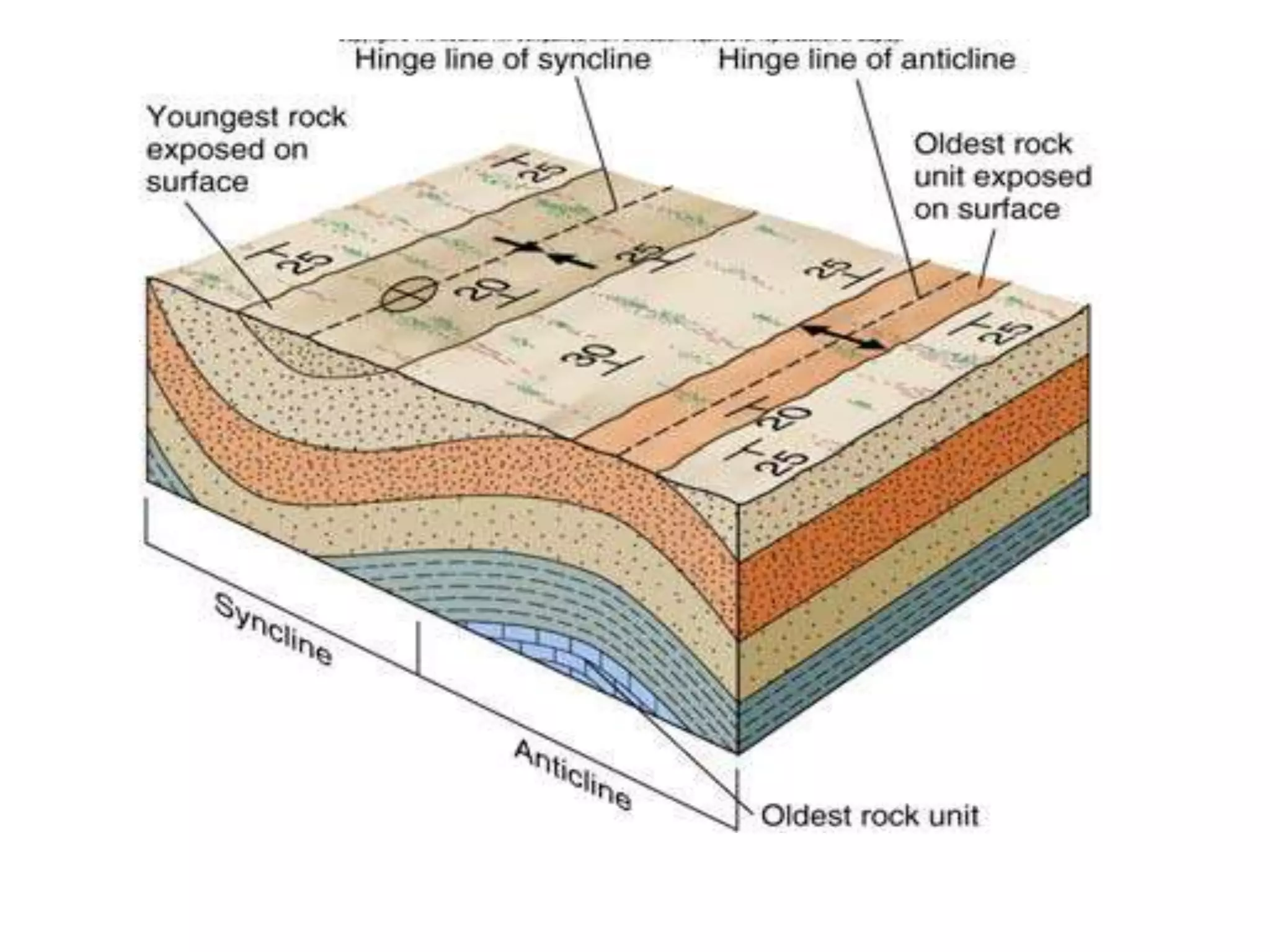 Geologic structure, fold fault & unconformity | PPTX