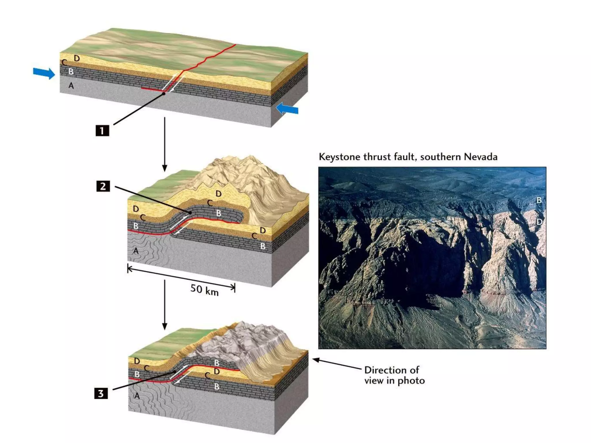 Geologic structure, fold fault & unconformity | PPT