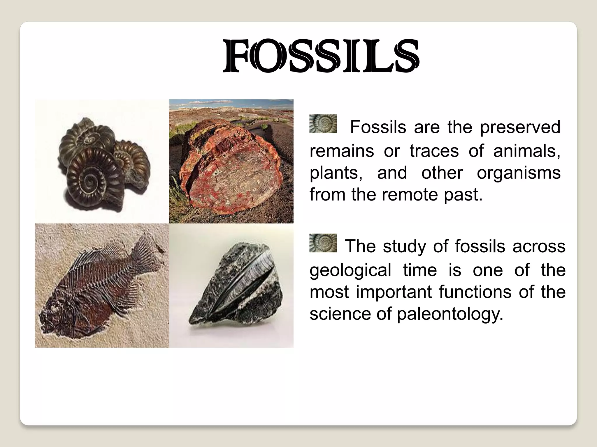 Geologic time (Earth Science) | PDF