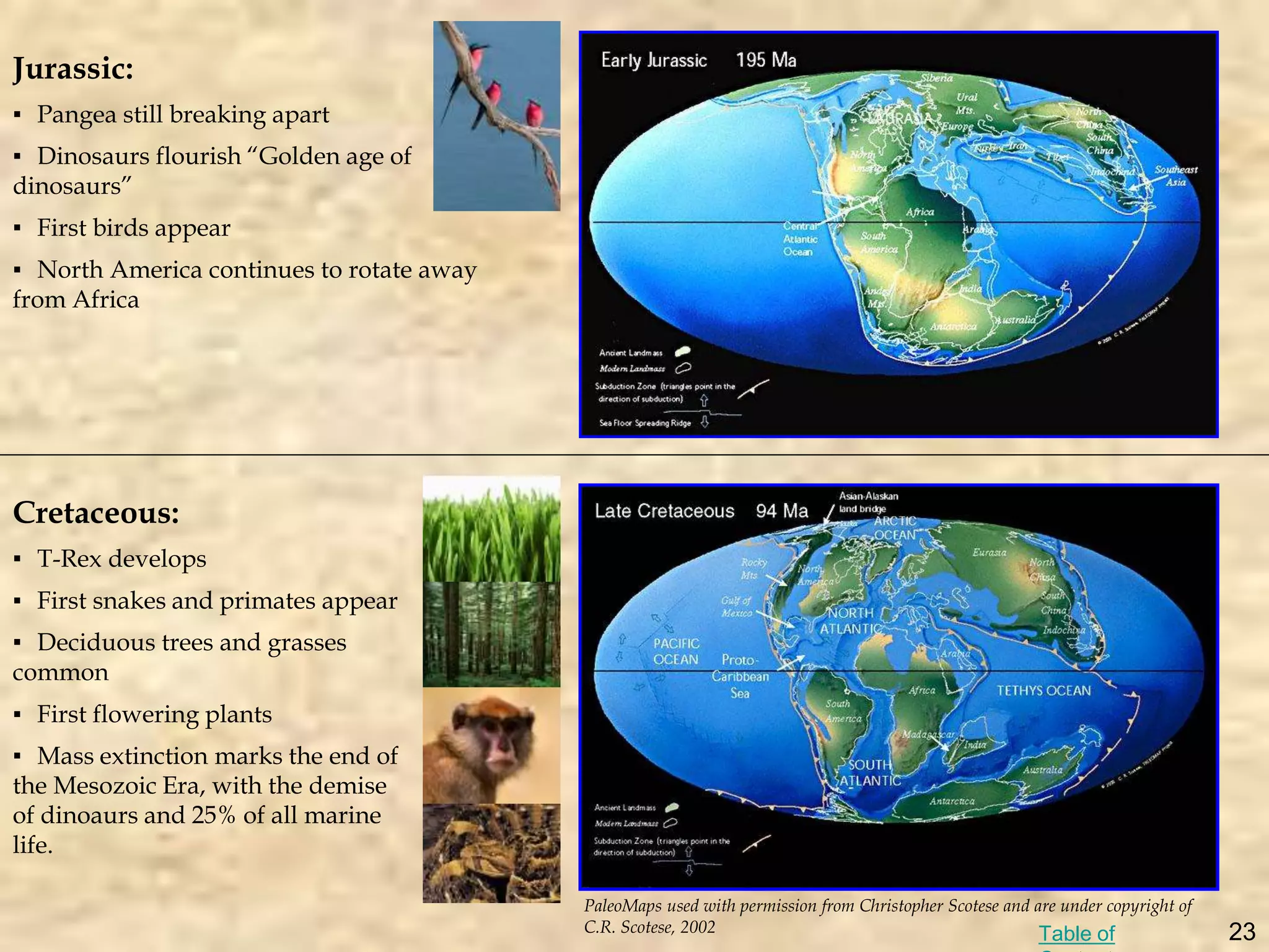 Geologic Time.pptx | Geography | Science
