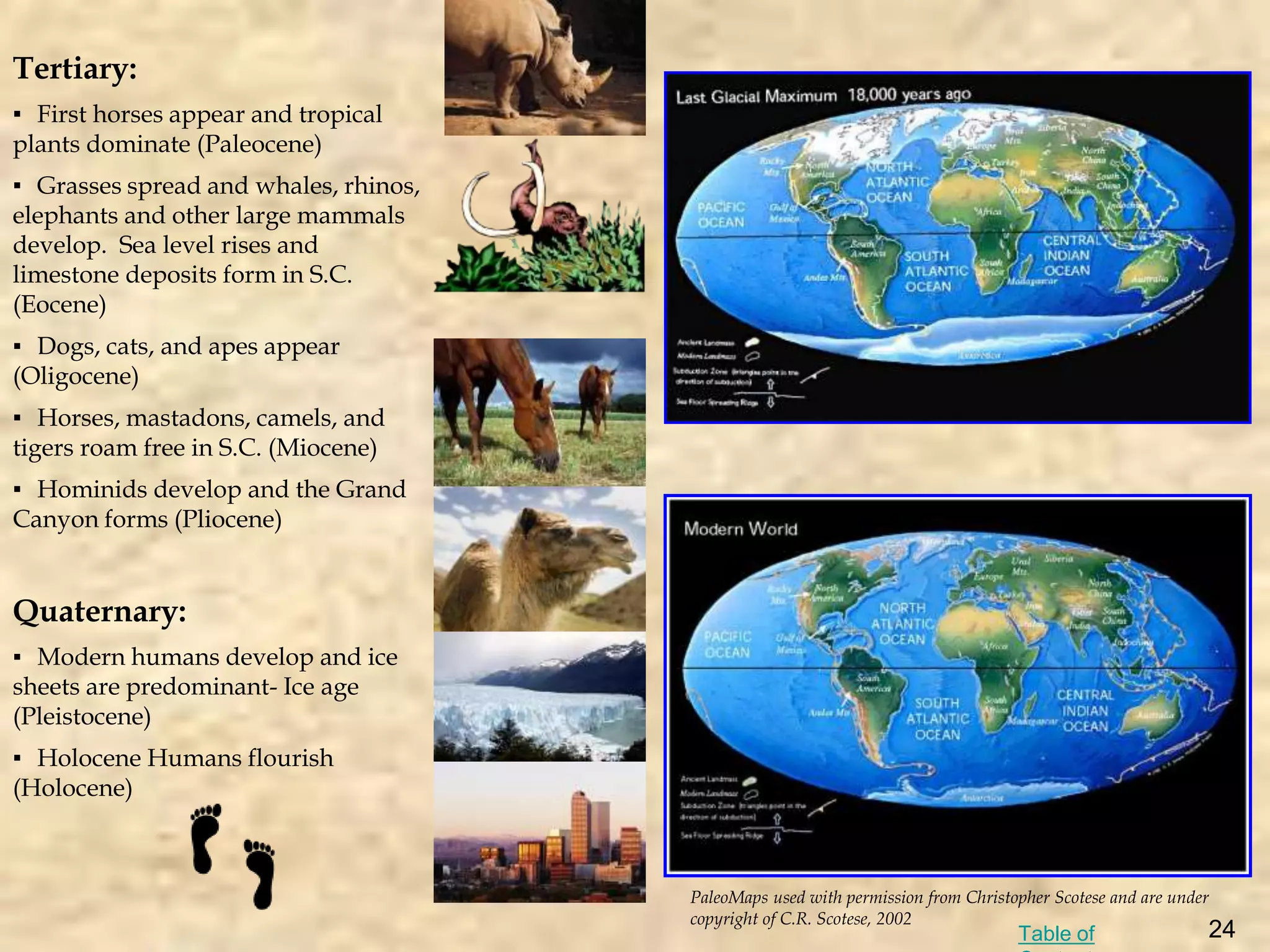 Geologic Time.pptx | Geography | Science