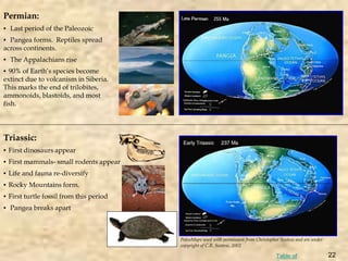 Geologic Time.pptx | Geography | Science
