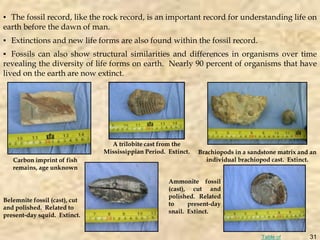 Geologic Time.pptx | Geography | Science