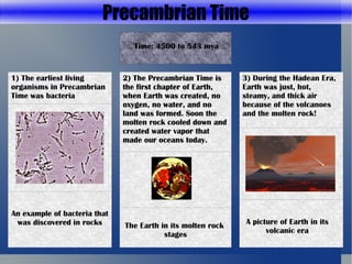 Geologic Timeline | PPT
