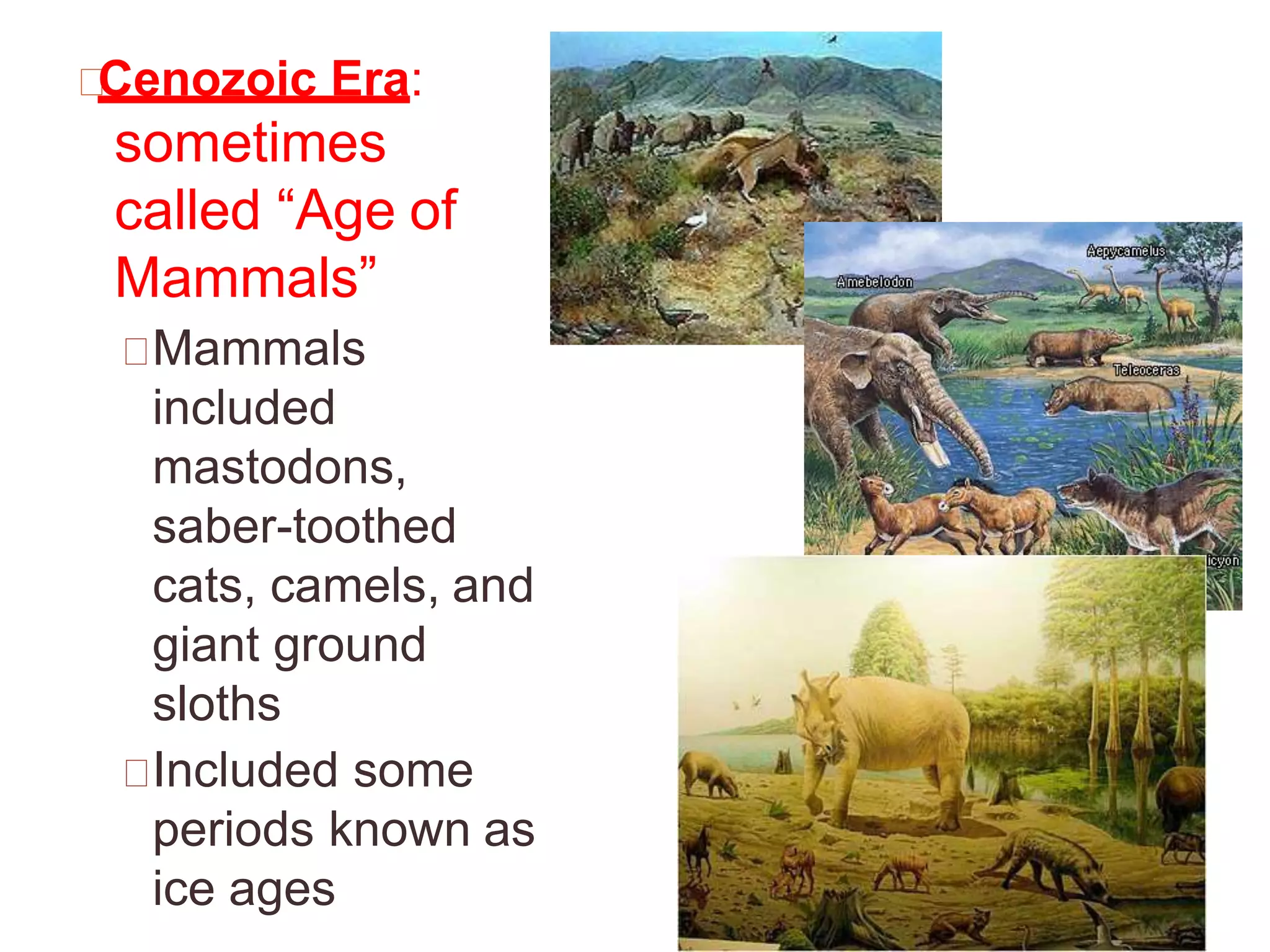Geologic timeline of the history of life on earth | PPTX